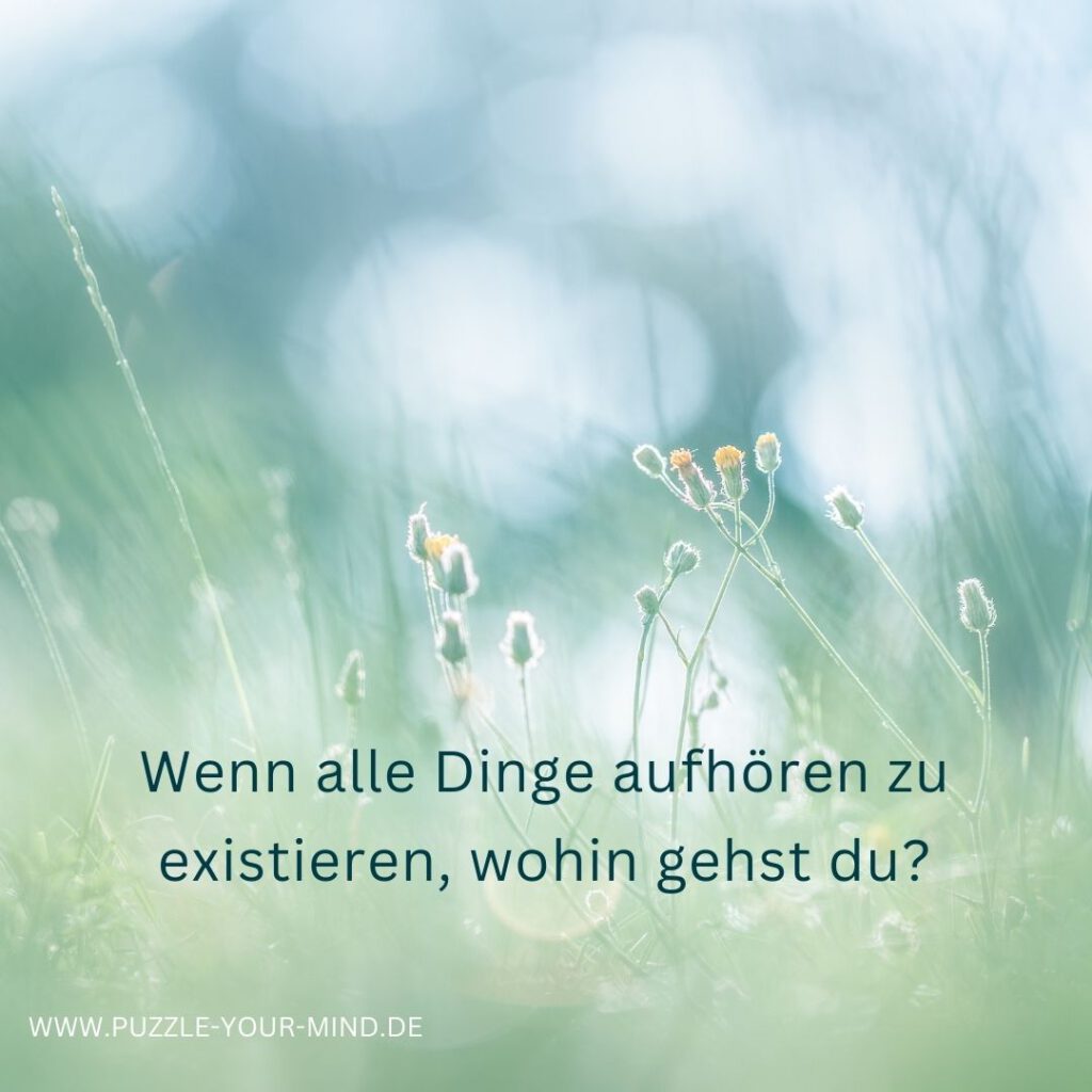 Koan: Definition, Arten, Beispiele & 10 Fragen