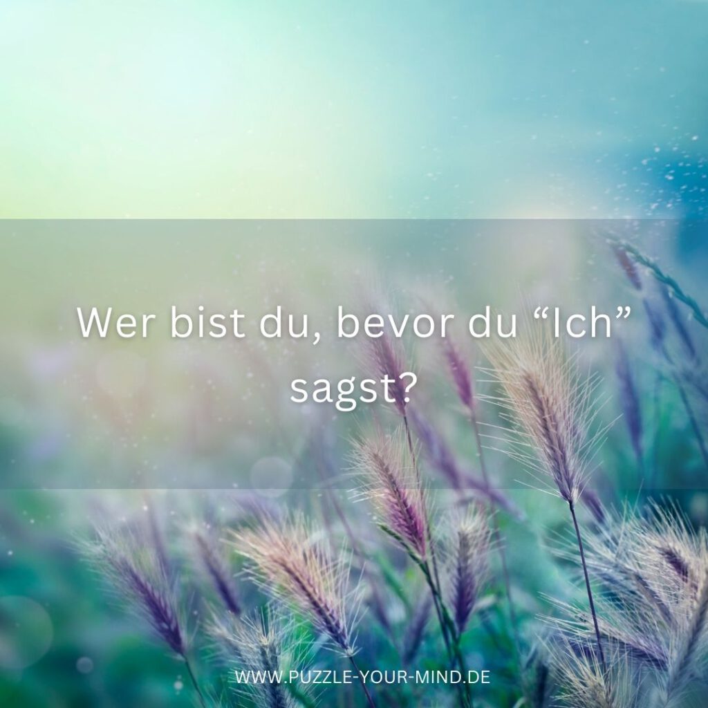 Koan: Definition, Arten, Beispiele & 10 Fragen